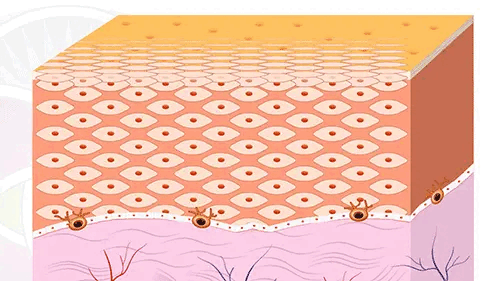 A Deep Dive into the Cause & Treatment of Melasma - AMA Regen Med ...